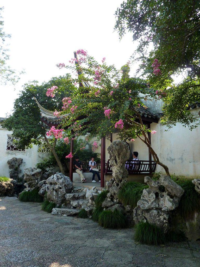 20 Chinese Garden Singapore Ideas To Consider | SharonSable