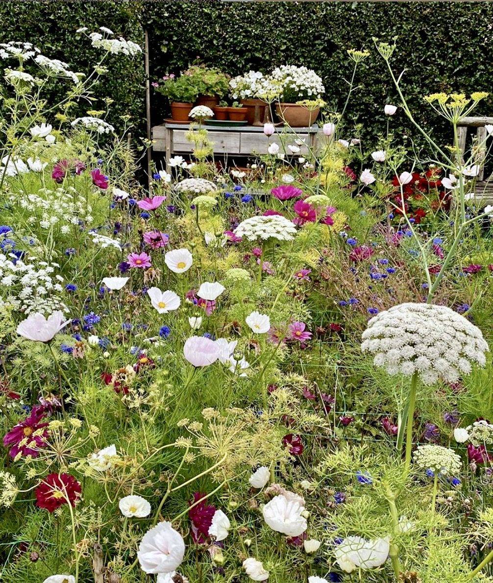 23 Aesthetic Garden Ideas Worth to Check | SharonSable