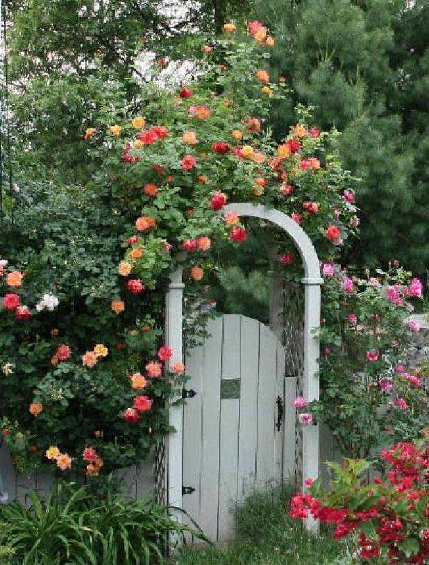 21 Climbing Rose Garden Arbor with Gate Ideas You Cannot Miss | SharonSable