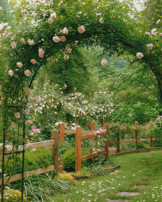 21 Climbing Rose Garden Arbor with Gate Ideas You Cannot Miss | SharonSable