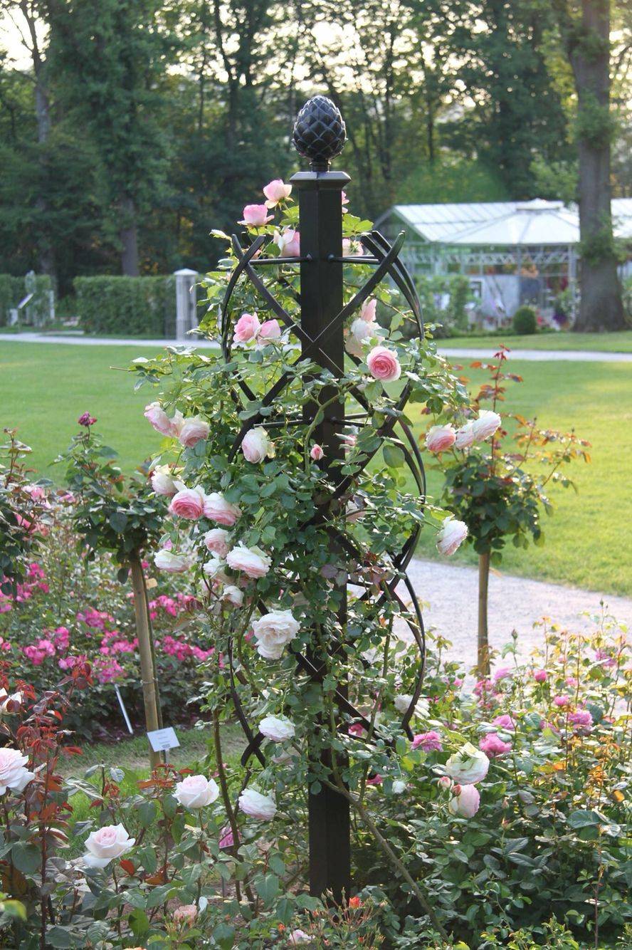 20 Roses On Garden Obelisk Trellis Metal Ideas You Must Look | SharonSable