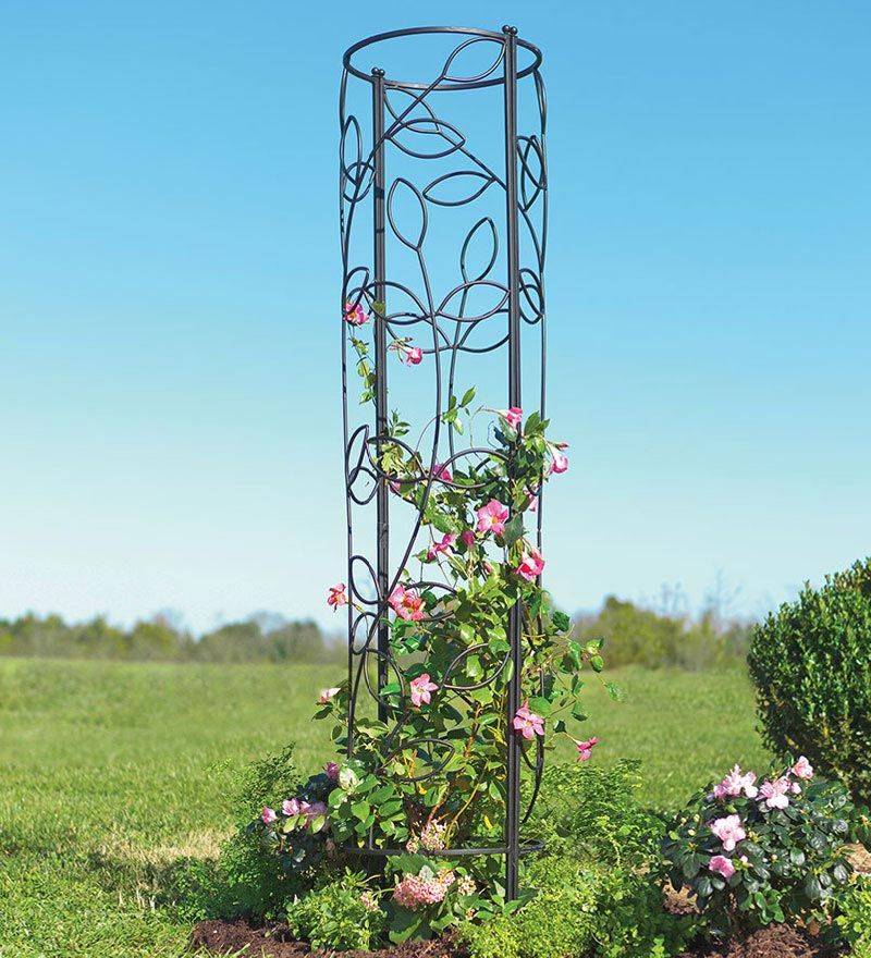 20 Roses On Garden Obelisk Trellis Metal Ideas You Must Look | SharonSable
