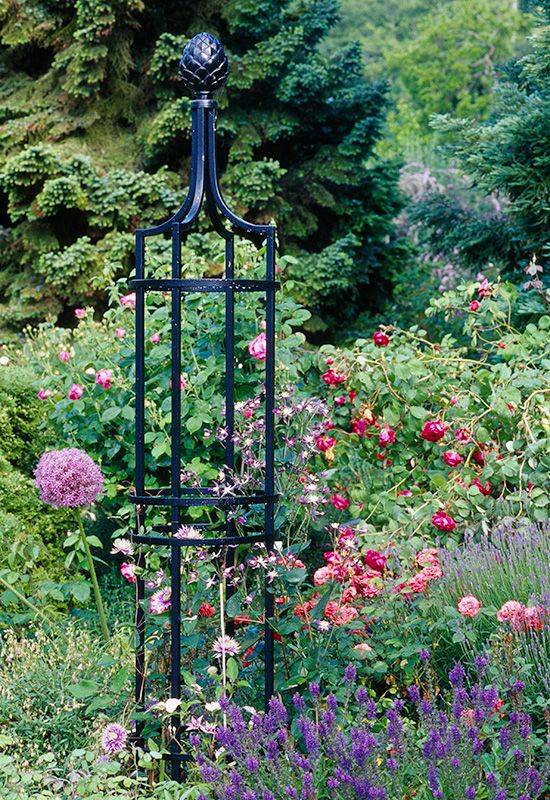 20 Roses On Garden Obelisk Trellis Metal Ideas You Must Look | SharonSable