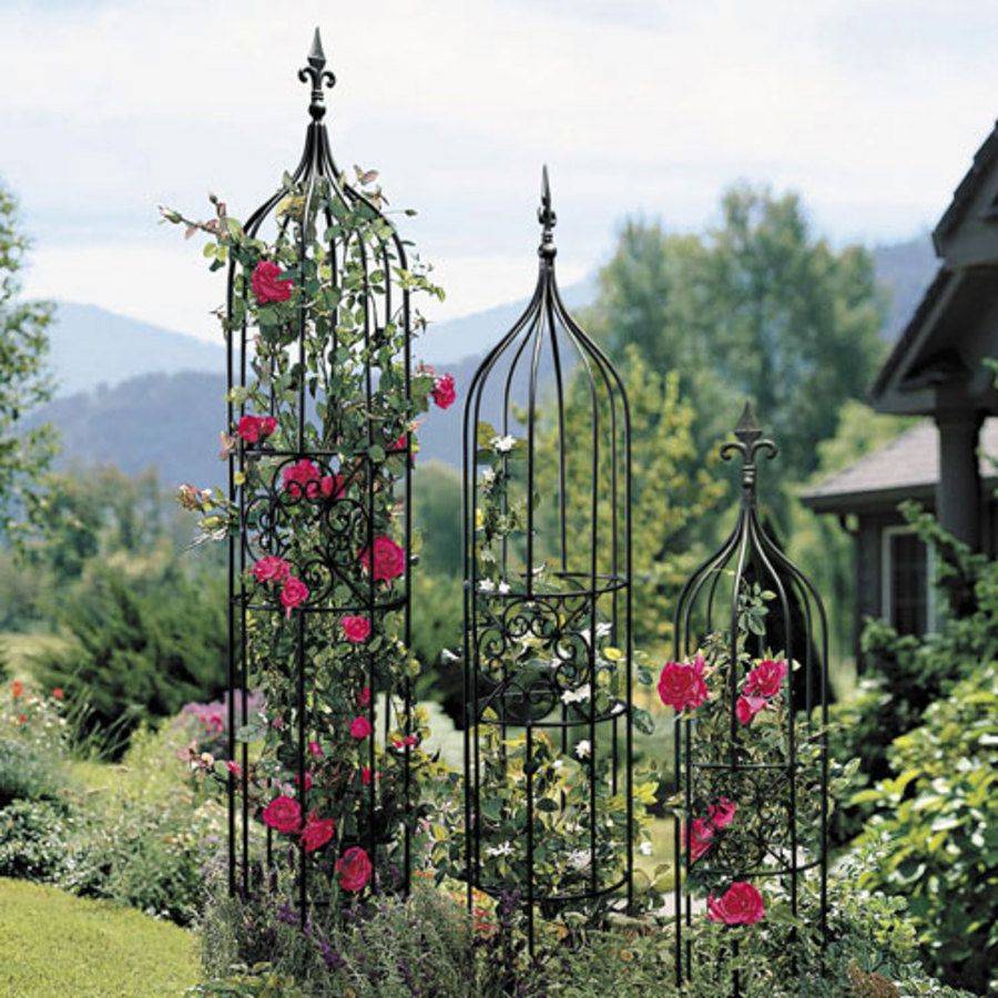 20 Roses On Garden Obelisk Trellis Metal Ideas You Must Look | SharonSable