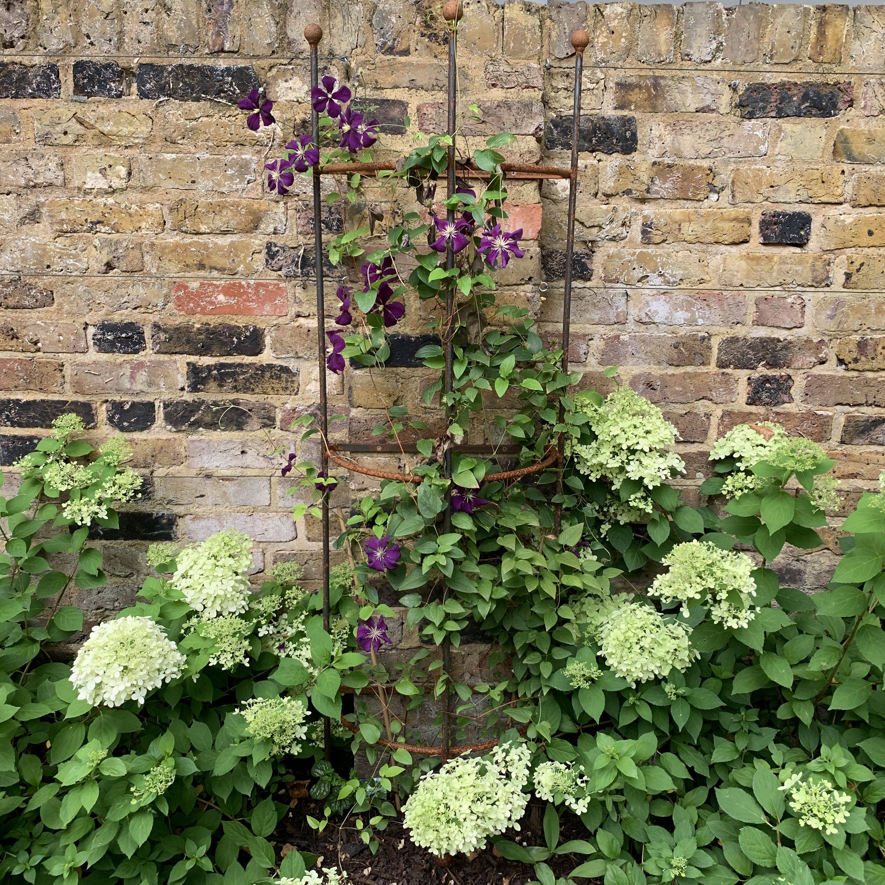 22 Garden with Clematis Arbors Ideas You Must Look | SharonSable