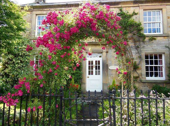 19 English Garden Rose Arbor Ideas You Must Look | SharonSable