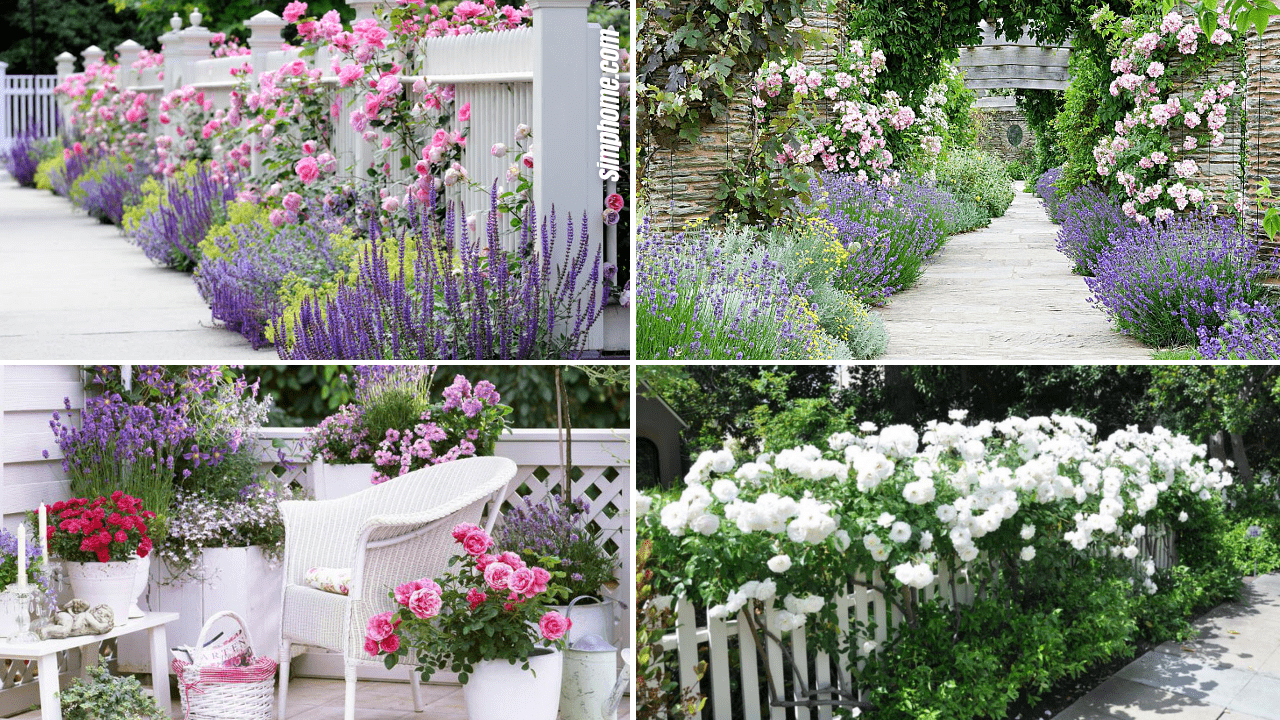 21 Simple Rose Garden Design Ideas You Cannot Miss | SharonSable