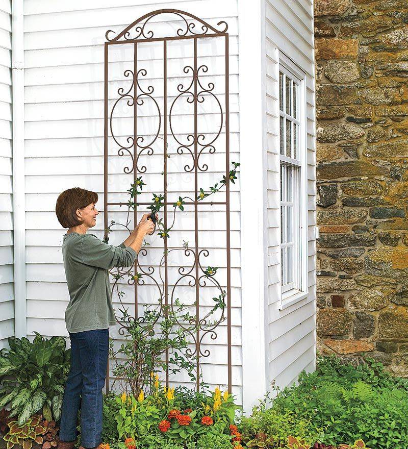 22 Tall Metal Garden Trellis Ideas You Cannot Miss | SharonSable