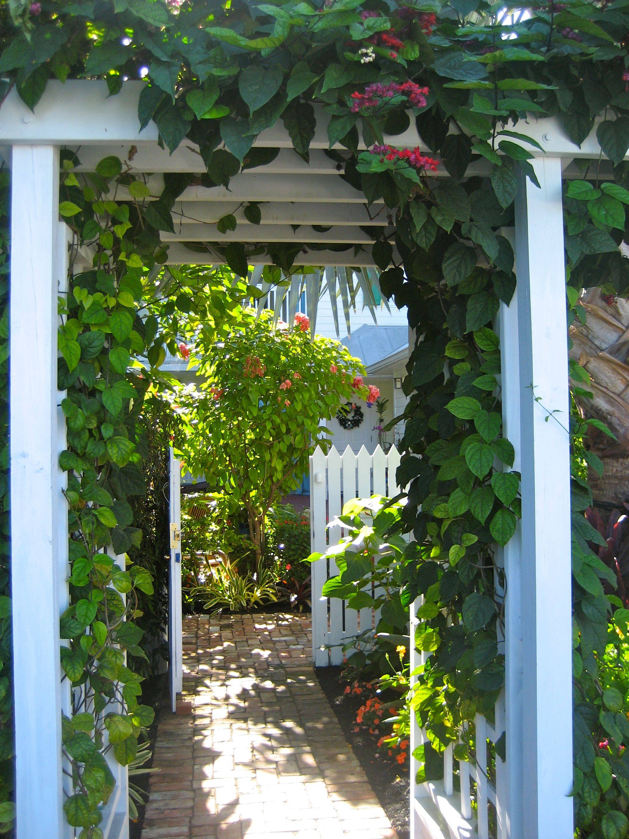 21 Garden Trellis Walkway Ideas To Try This Year | SharonSable