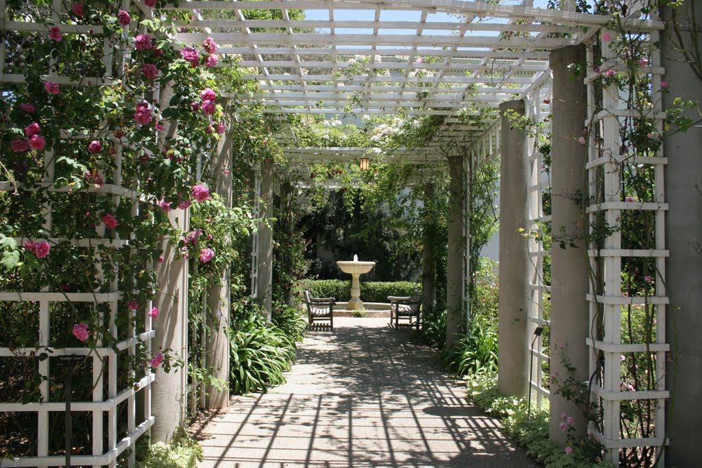21 Garden Trellis Walkway Ideas To Try This Year | SharonSable