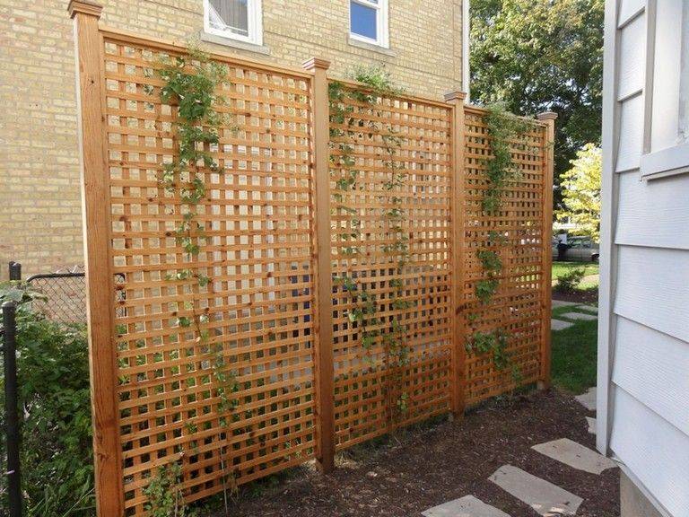 19 Garden Lattice Panels Ideas You Should Check | SharonSable