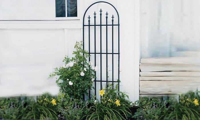 22 Black Metal Garden Trellis Ideas Worth to Check | SharonSable