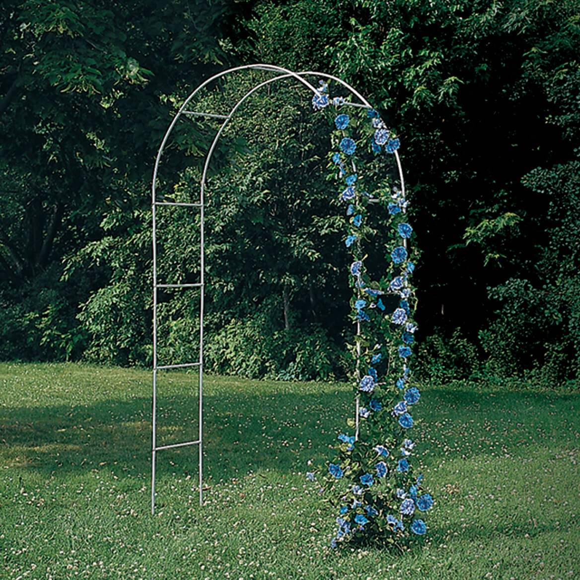 21 Arched Metal Garden Trellis Ideas Worth a Look | SharonSable