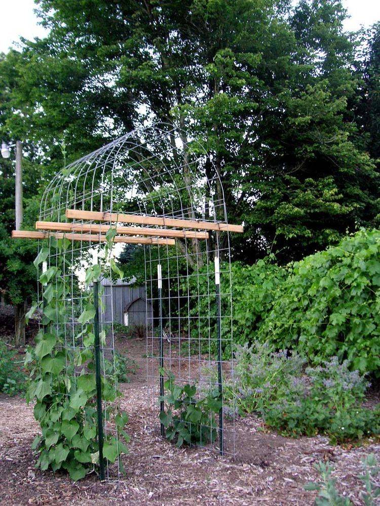 25 Vegetable Garden Trellis Arch Ideas Worth a Look | SharonSable