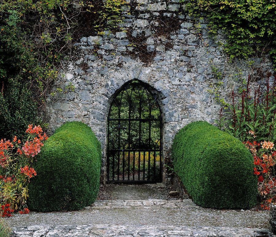17 Walled Garden with Gothic Arch Ideas You Cannot Miss | SharonSable