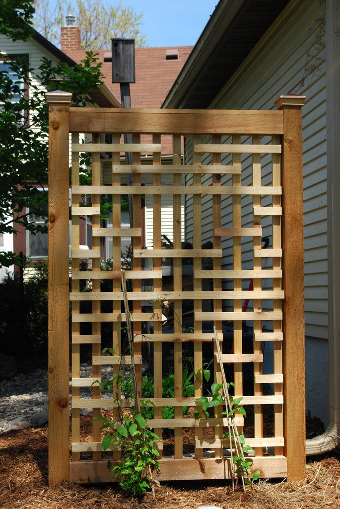 19 Rustic Metal Garden Trellis Ideas For This Year | SharonSable