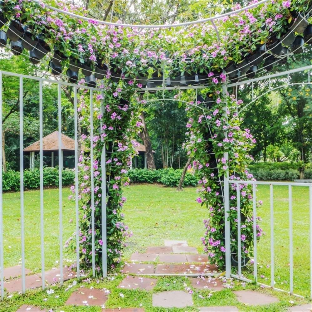 11 Amazon Garden Arches Ideas To Consider | SharonSable