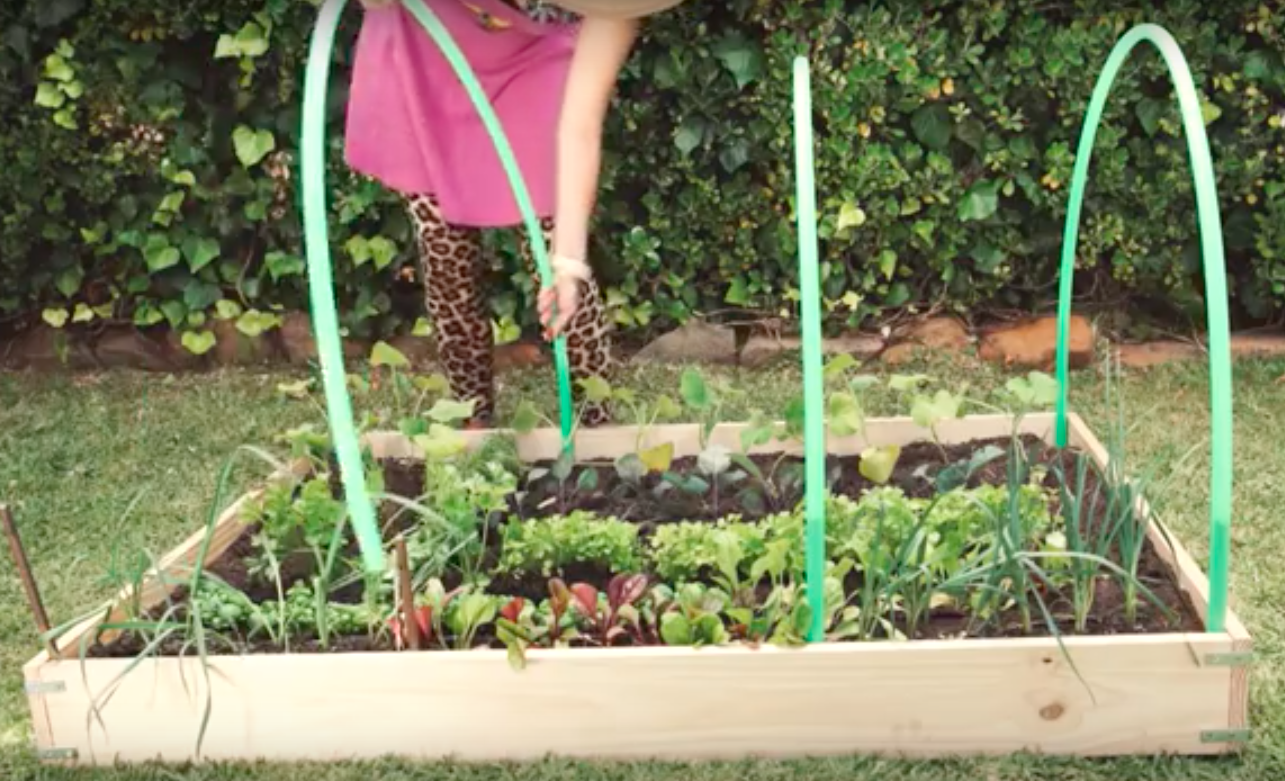 24 Garden Hoops Ideas Worth a Look | SharonSable