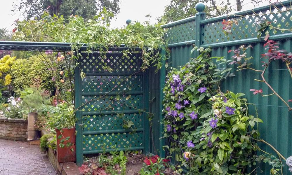 14 Green Garden Gates Ideas Worth a Look | SharonSable