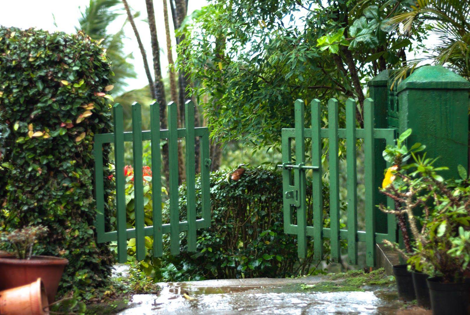 14 Green Garden Gates Ideas Worth a Look | SharonSable