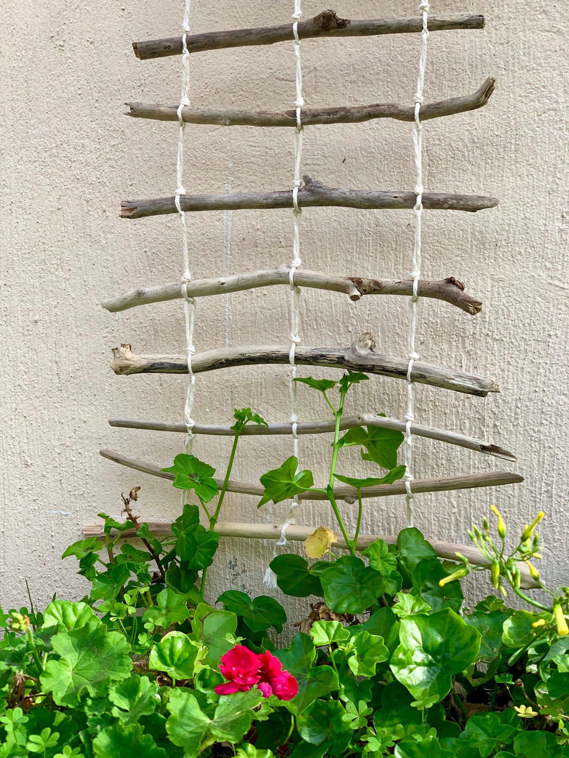 21 Rustic Vegetable Garden Trellis Ideas You Should Check | SharonSable