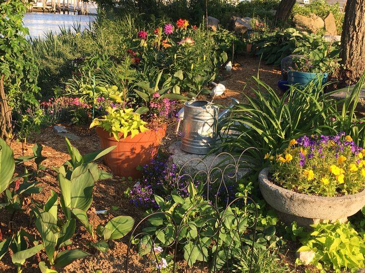 24 Perennial Moon Garden Ideas You Should Look | SharonSable