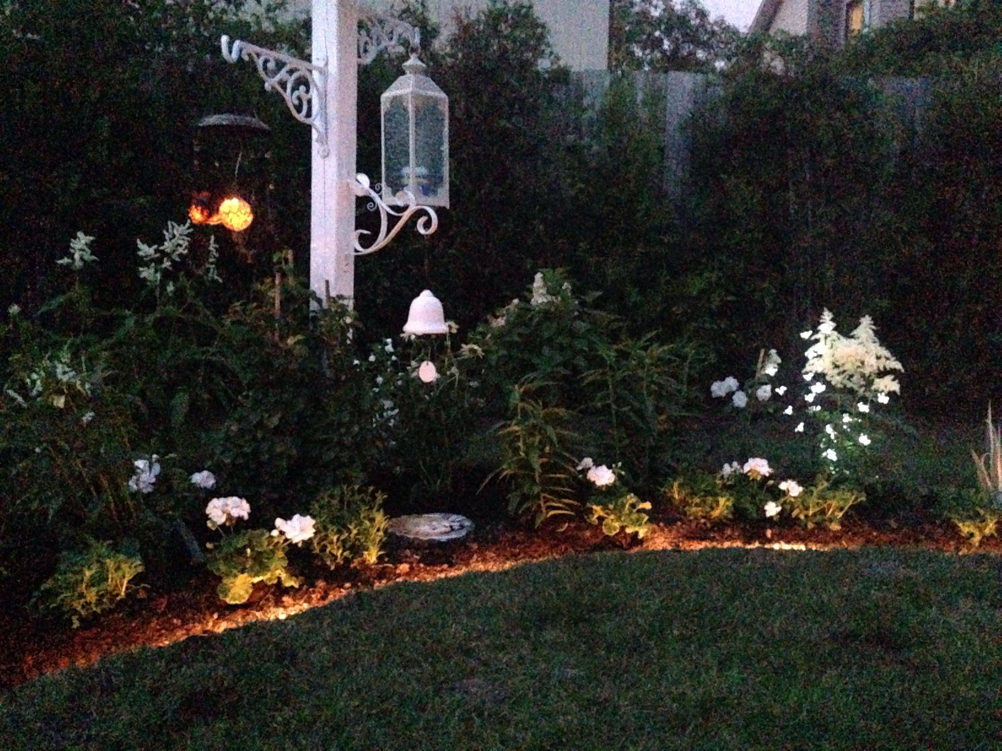 20 Moon Night Garden Ideas You Should Look | SharonSable
