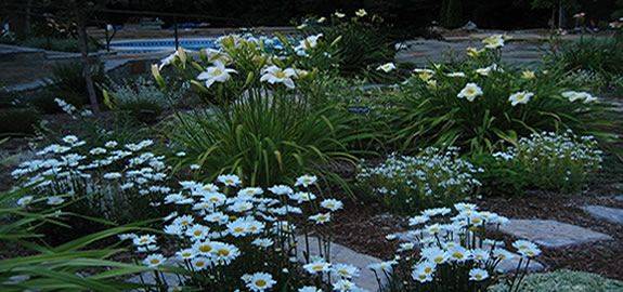 20 Moon Night Garden Ideas You Should Look | SharonSable