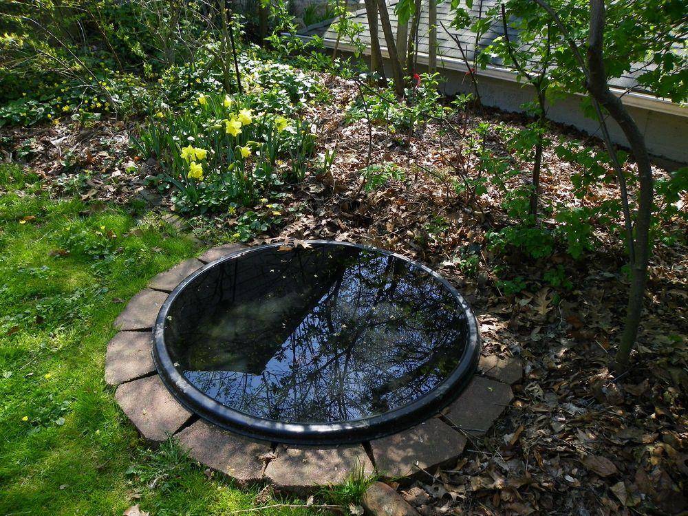 17 DIY Fiberglass Garden Pond Ideas To Try This Year | SharonSable