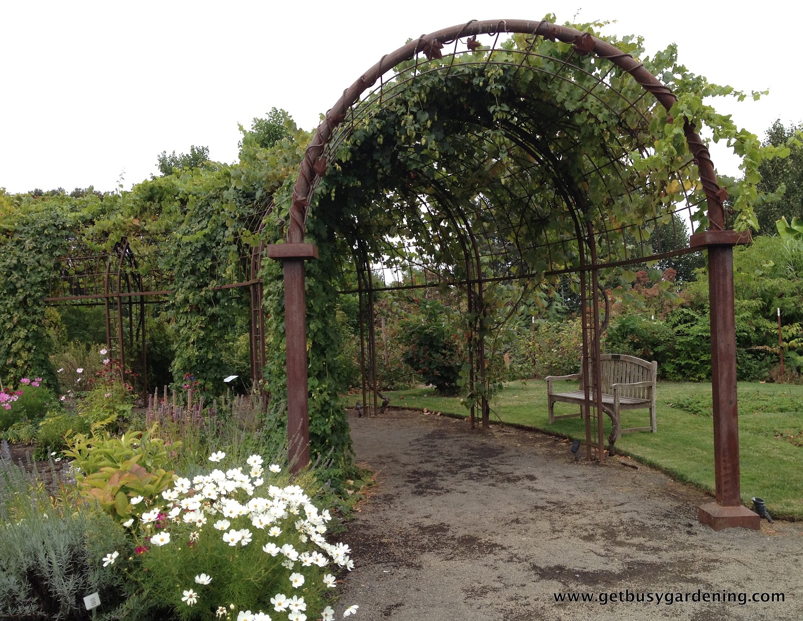 21 Garden Arch Walkway Ideas Worth to Check | SharonSable