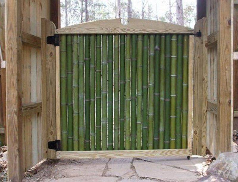 19 Bamboo Garden Gate Ideas For This Year | SharonSable