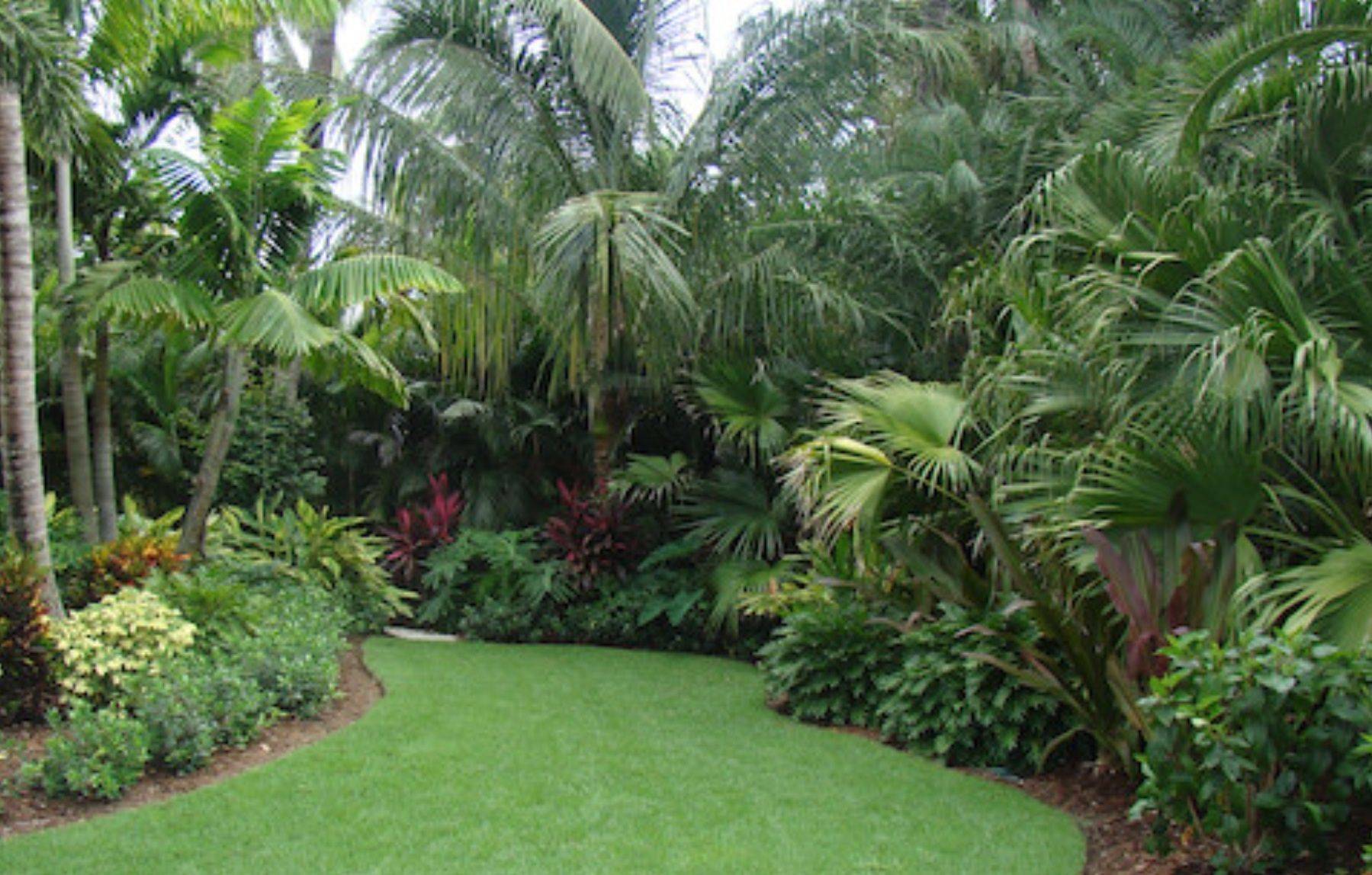 22 Tropical Garden Ideas Florida You Should Look | SharonSable