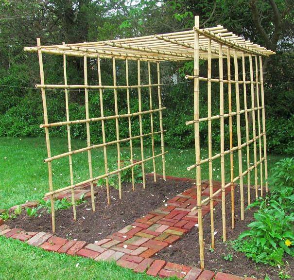 17 Bamboo Garden Arch Ideas You Should Look | SharonSable