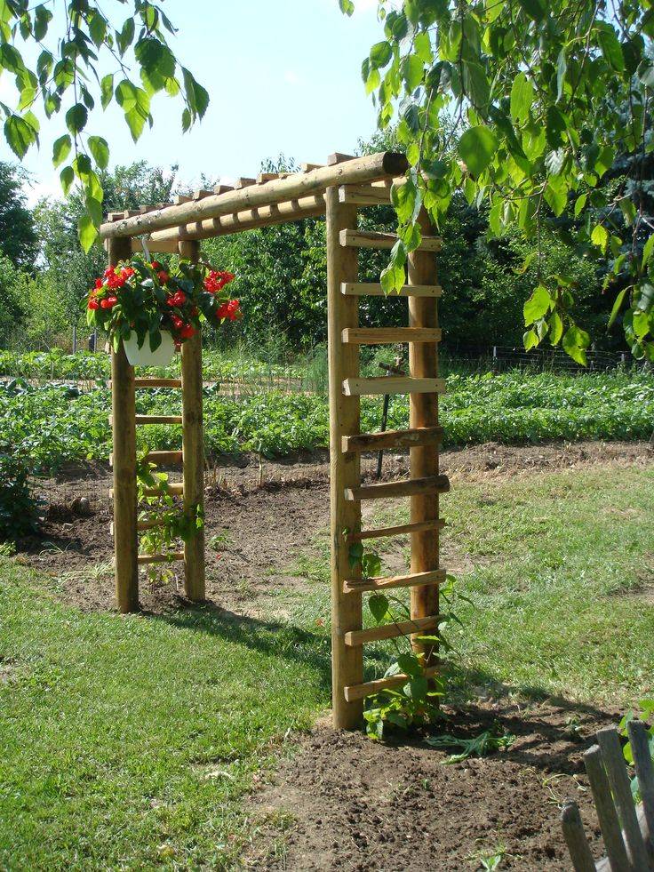 17 Bamboo Garden Arch Ideas You Should Look | SharonSable