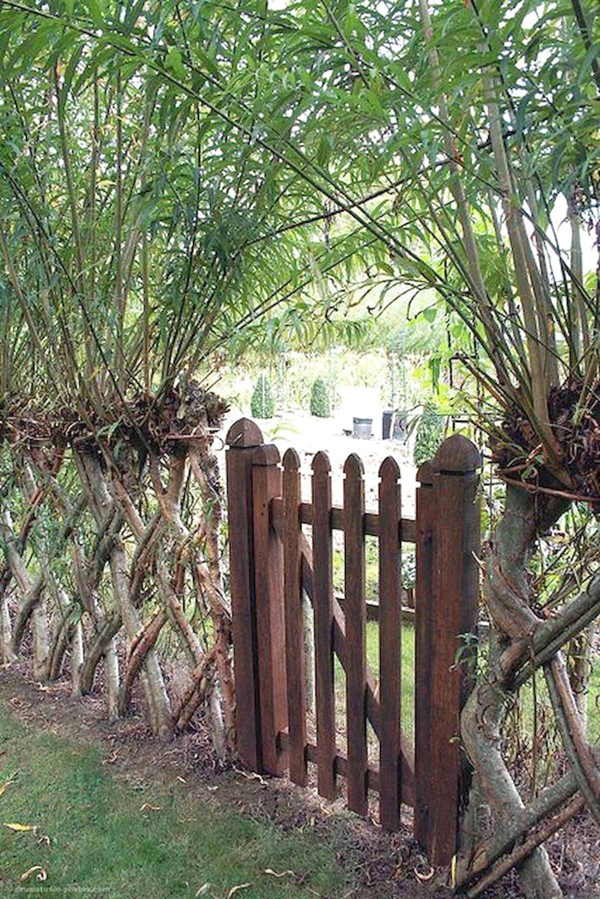 24 Unusual Garden Gate Ideas You Must Look | SharonSable