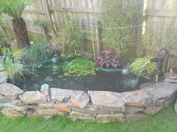 18 Preformed Ponds Water Garden Ideas You Cannot Miss | SharonSable