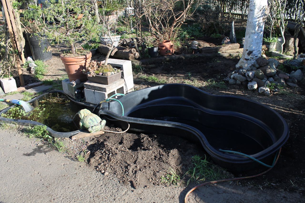 18 Large Preformed Garden Ponds Ideas Worth a Look | SharonSable