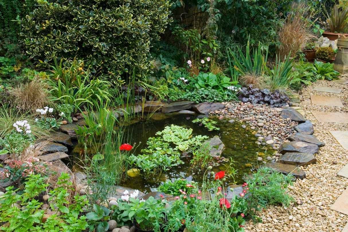 22 Small Cottage Garden with Pond Ideas For This Year | SharonSable