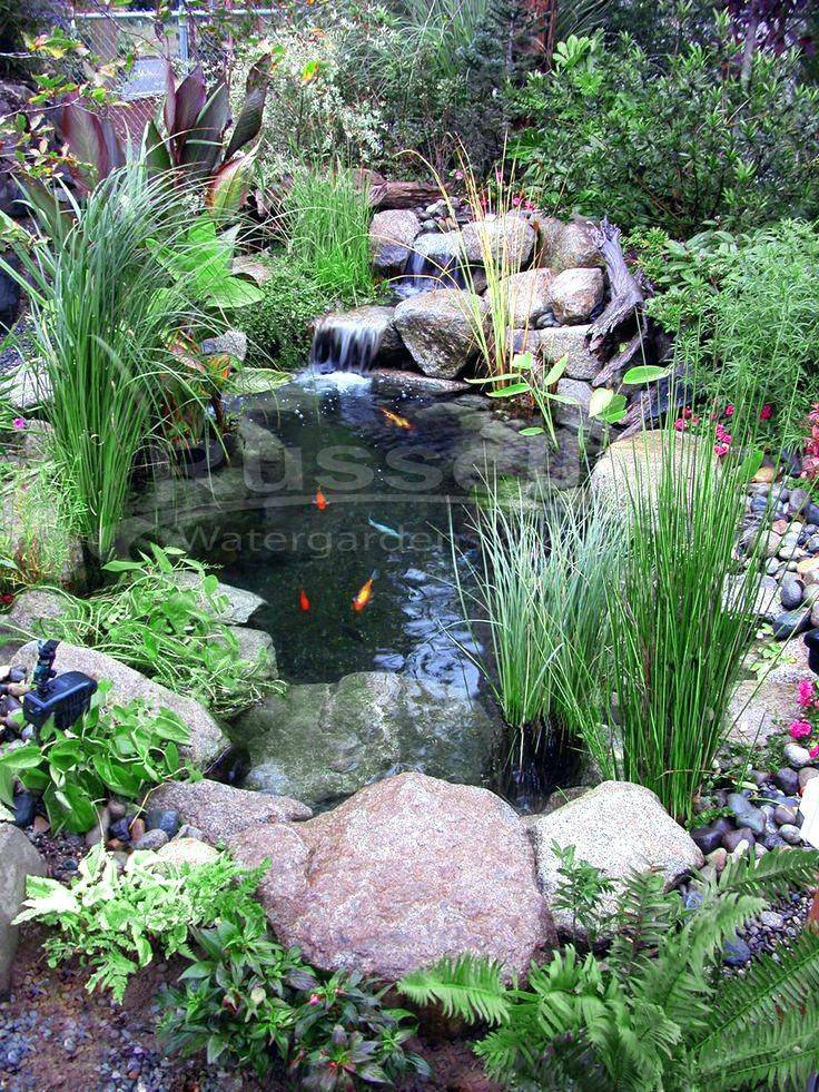 14 Raised Garden Pond with Waterfall Ideas You Should Look | SharonSable