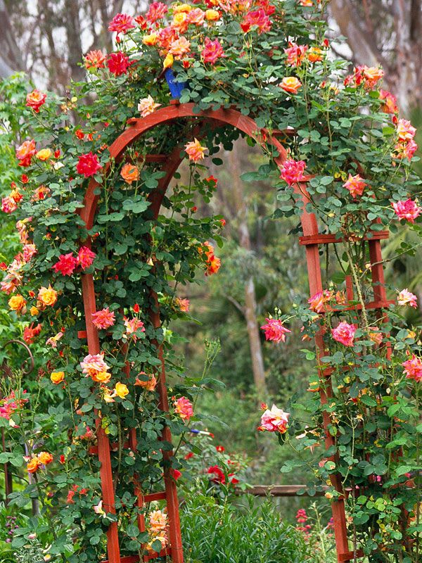 21 Garden Arbor with Roses Ideas You Should Look | SharonSable