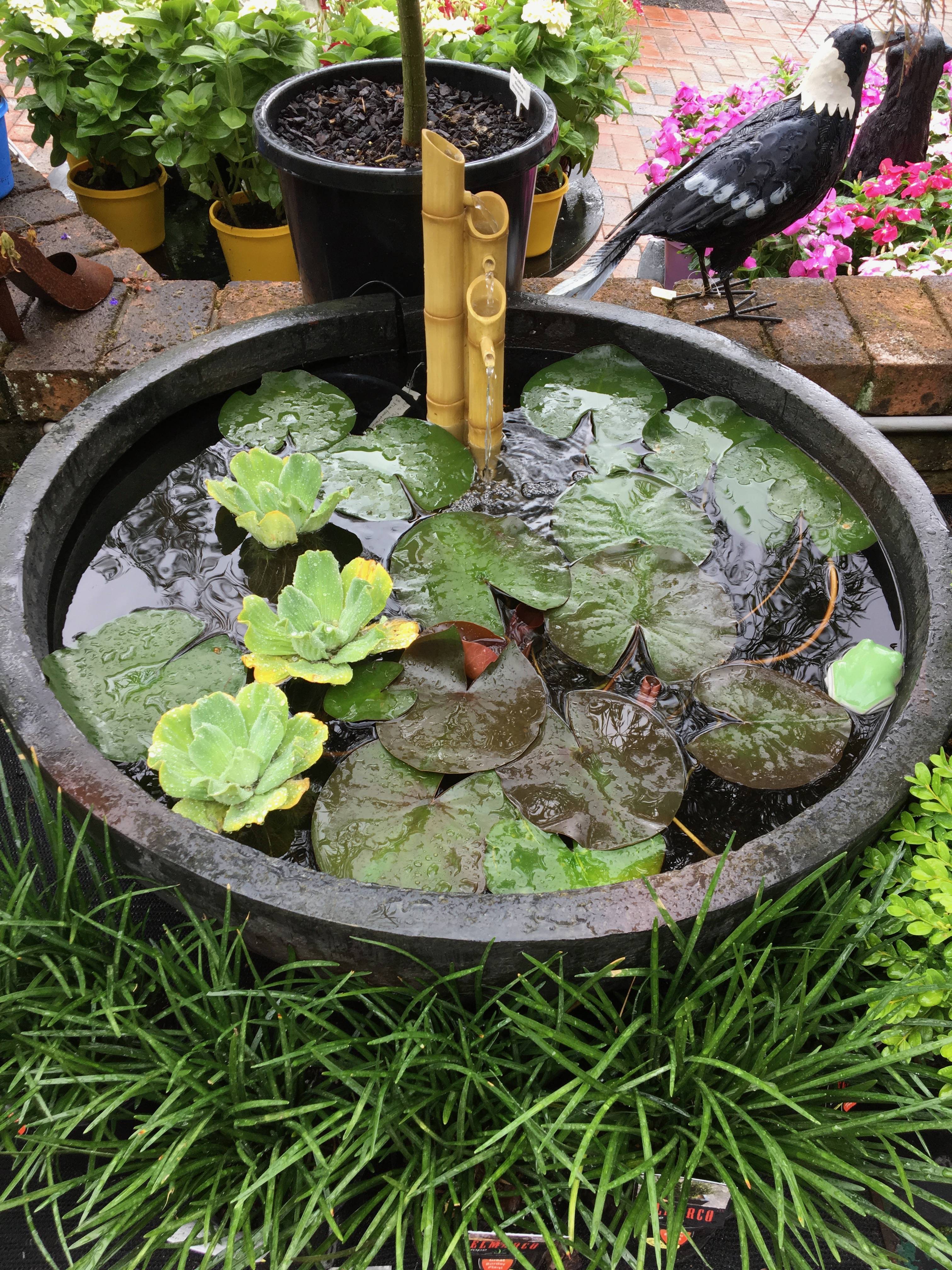 18 Small Garden Pond Kit Ideas To Try This Year | SharonSable