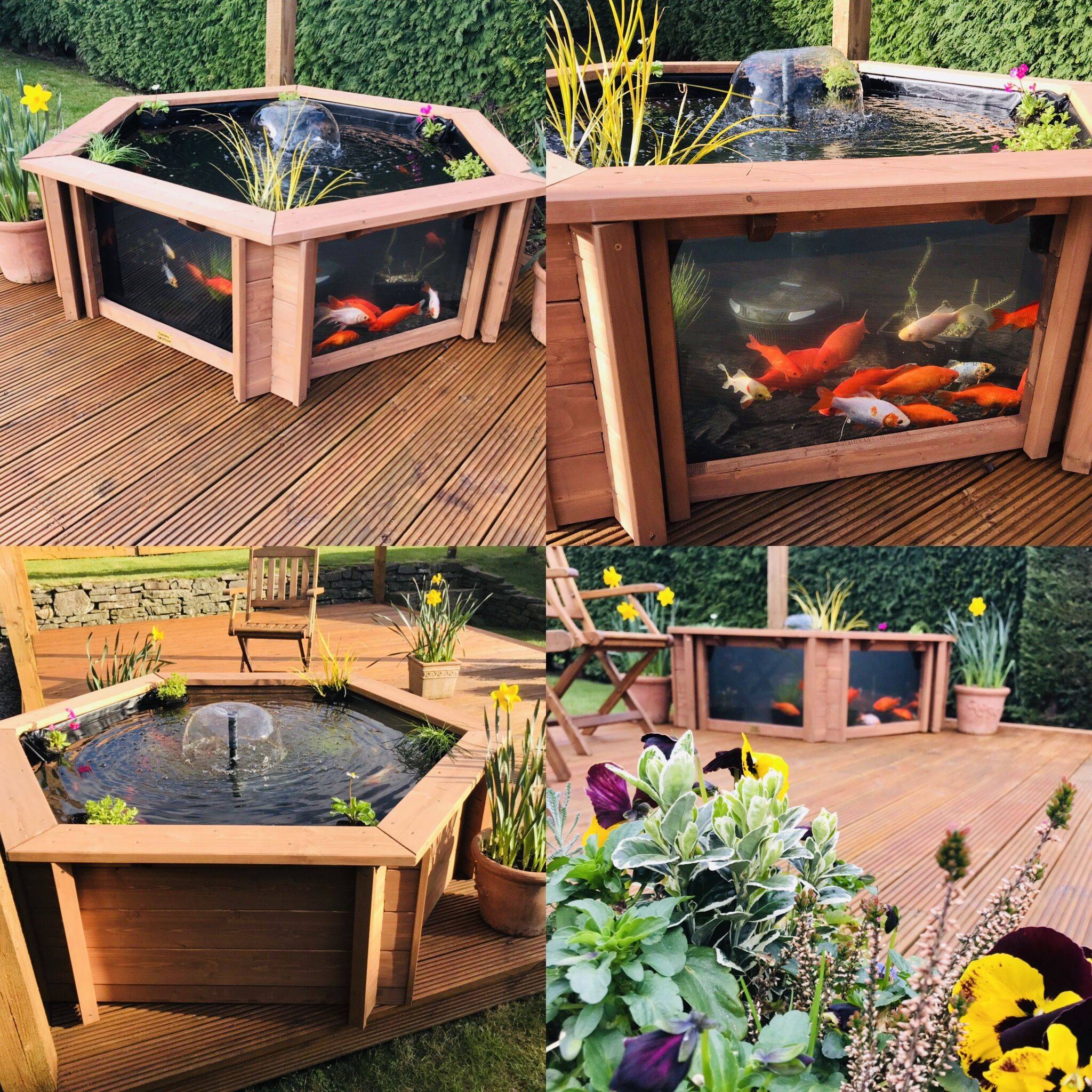 17 Raised Garden Pond Kits Ideas You Must Look | SharonSable