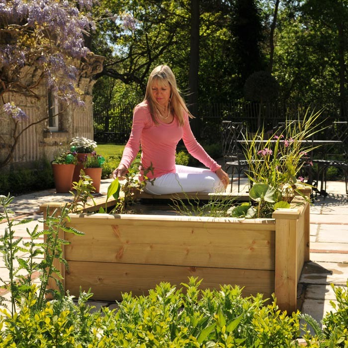 17 Raised Garden Pond Kits Ideas You Must Look | SharonSable