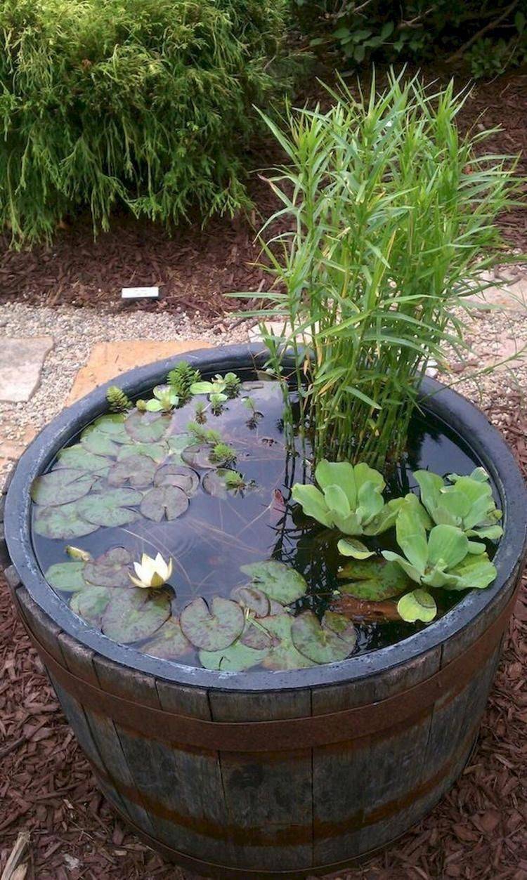 20 Container Water Garden Pond Ideas Worth a Look | SharonSable
