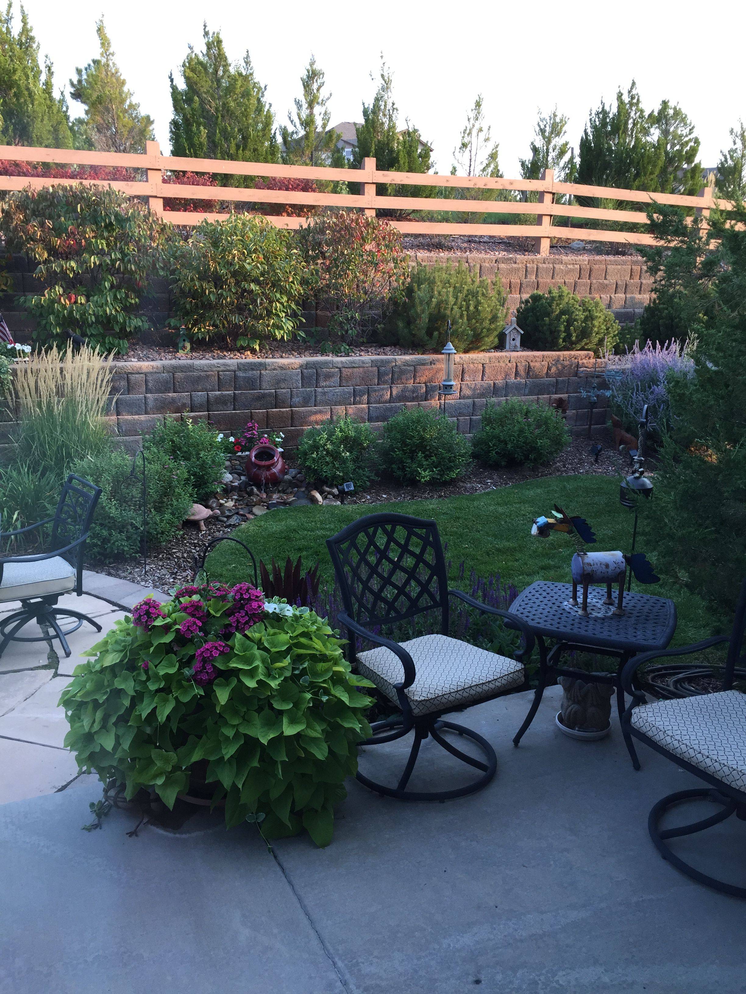 21 Garden Gate Planting Ideas You Must Look | SharonSable