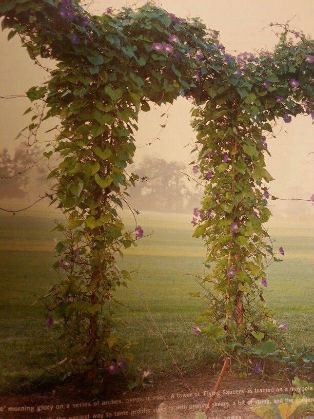 20 Victorian Garden Arbor Ideas Worth a Look | SharonSable