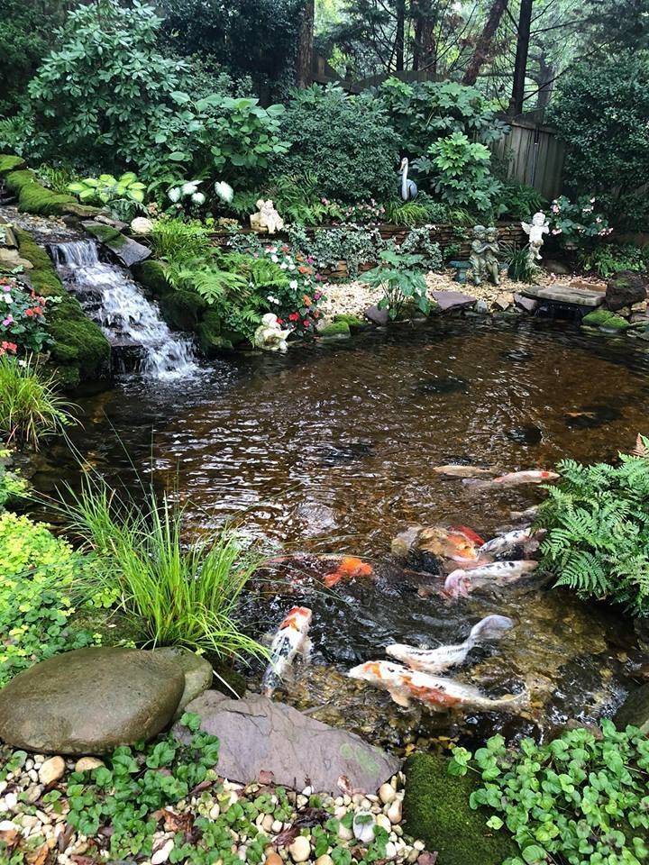 20 Koi Waterfall Garden Pond Ideas To Consider | SharonSable