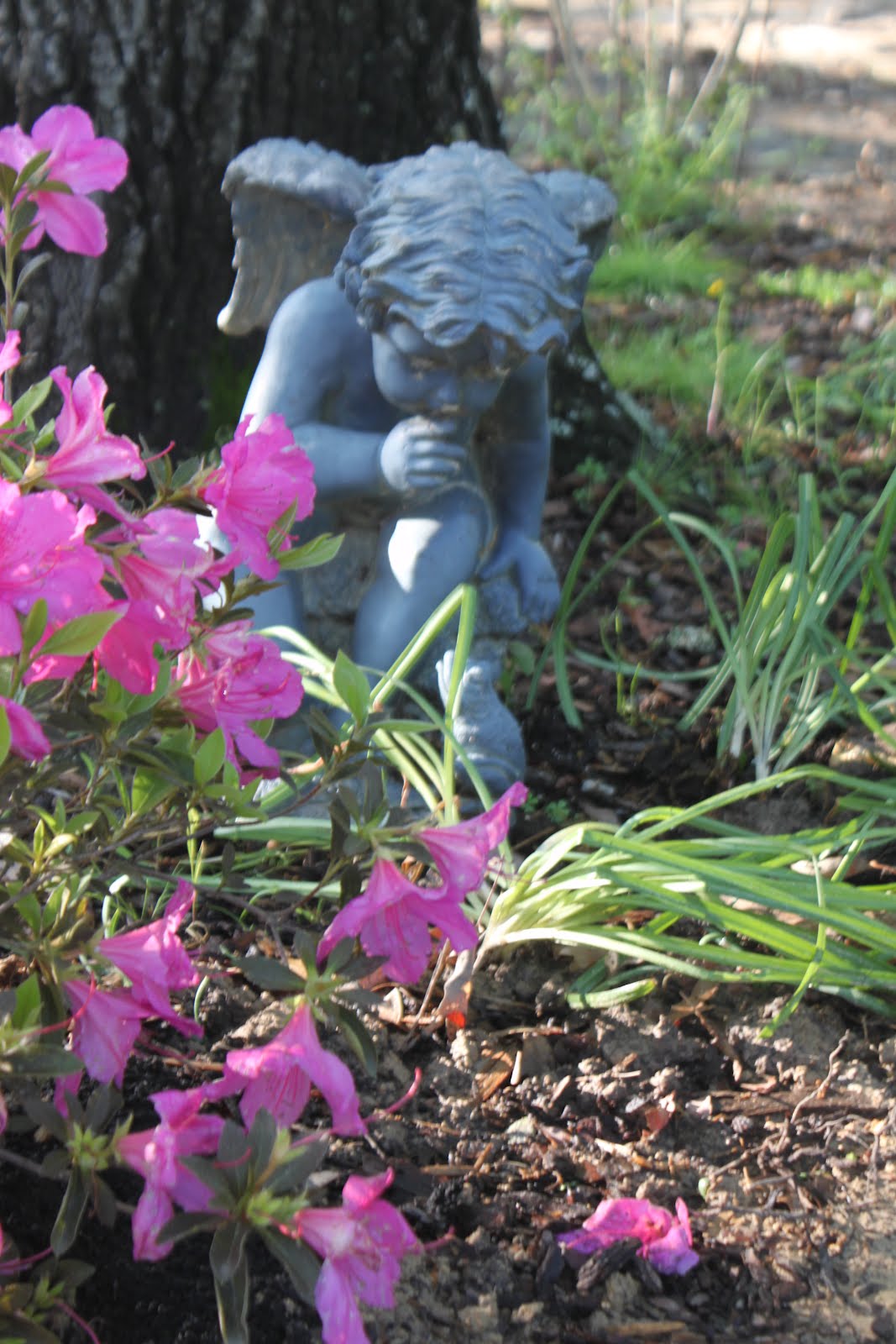 16 Cutie Garden LG Cozy Ideas You Must Look | SharonSable