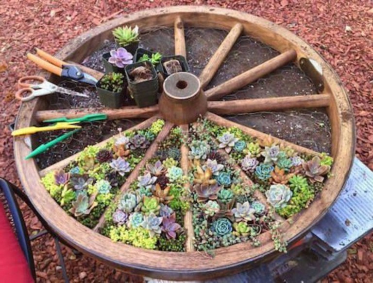 20 Cutie School Garden Ideas Worth a Look | SharonSable