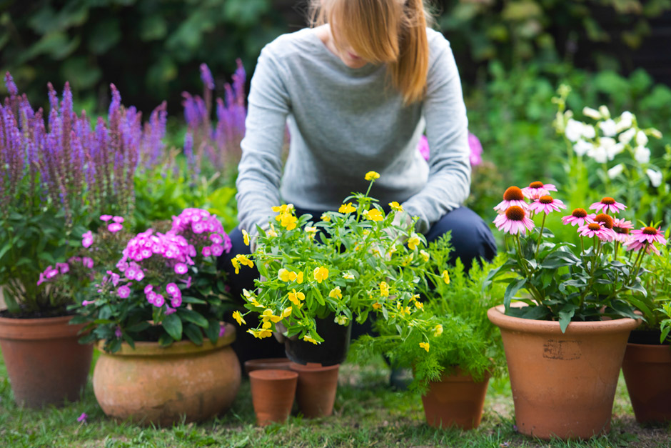 20 Sensory Garden Plants Ideas To Consider | SharonSable